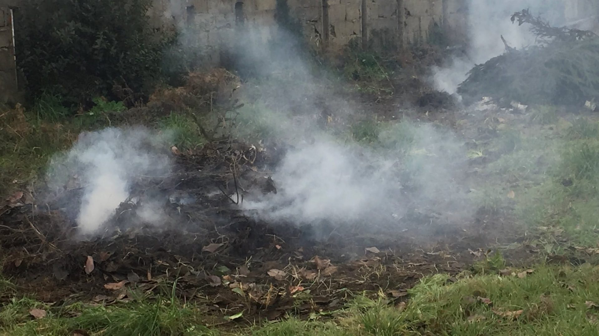 Proibição de queimas e queimadas prolongada até 14 de junho - Expresso ...